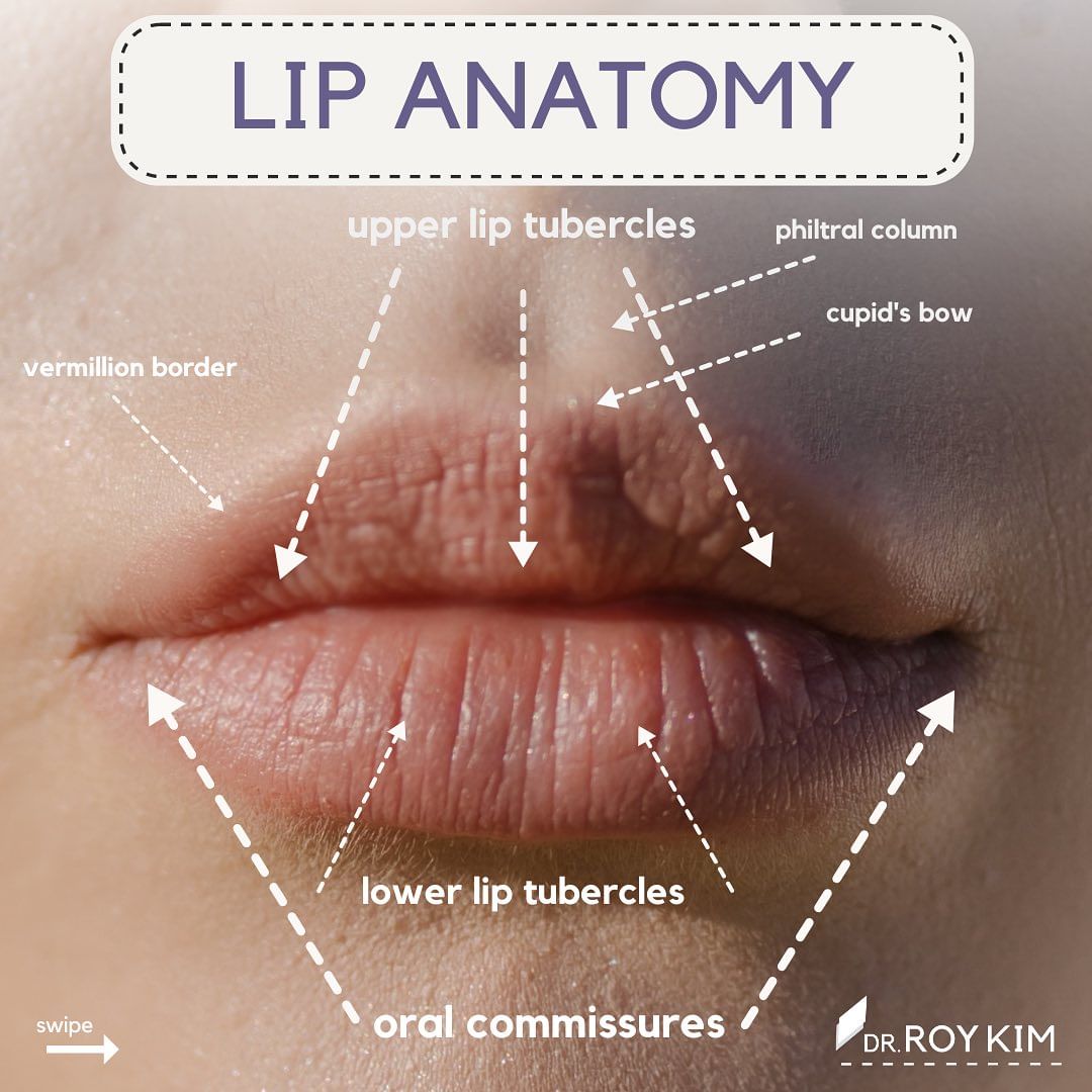 Unlocking the Secret to Natural-Looking Lips: Lip Tubercles – Roy Kim, MD